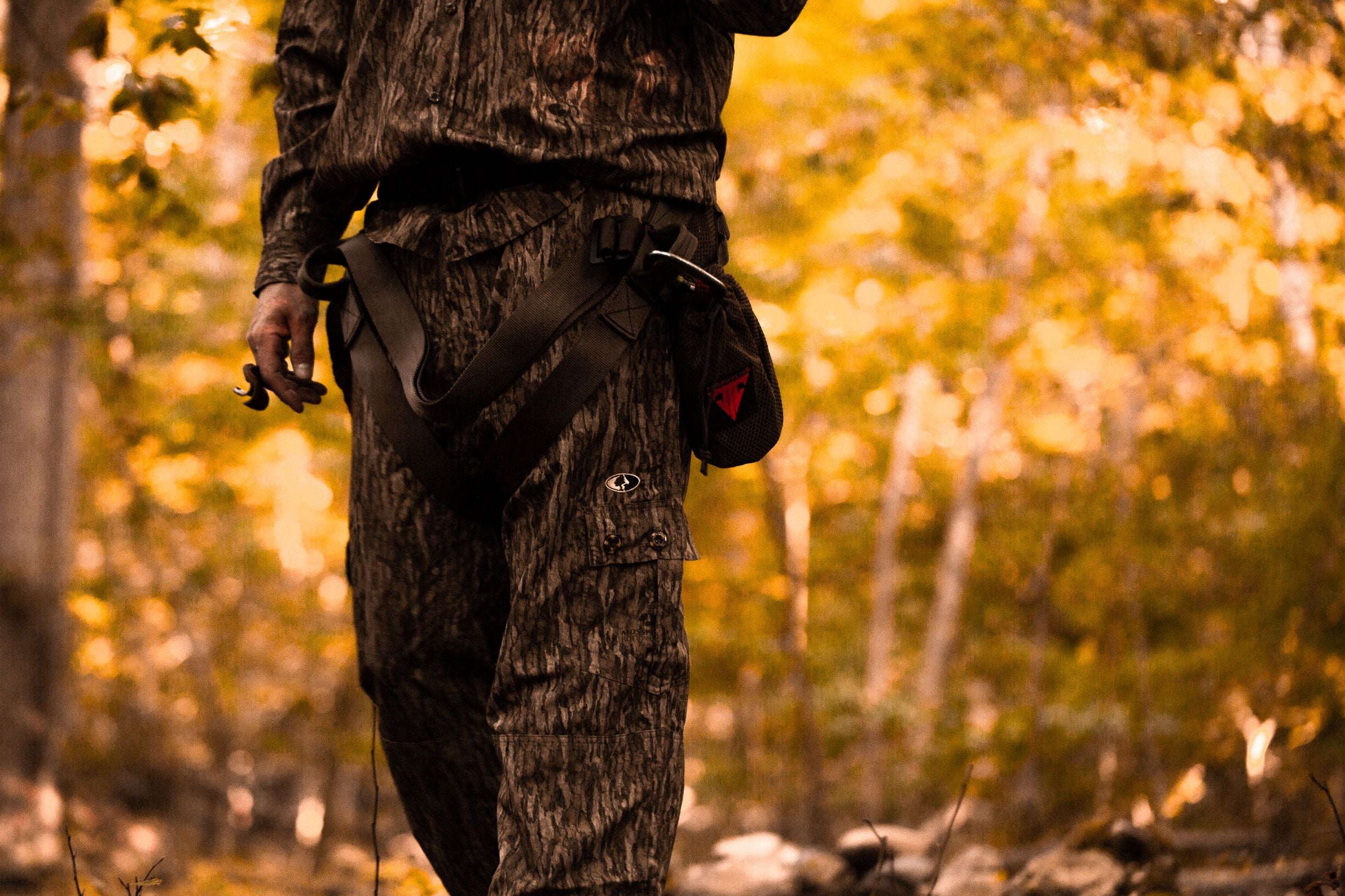 Then and Now: Trophyline Tree Saddle Hunting